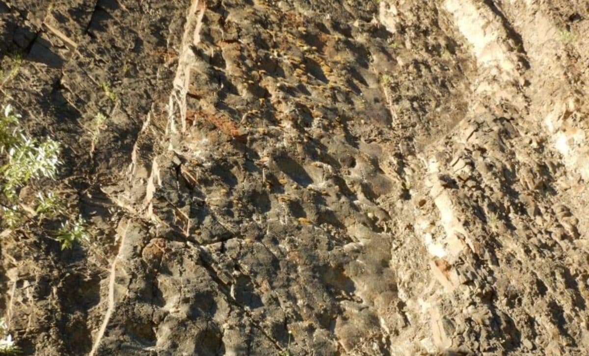 During a hike, scientists discovered that a cliff in Alaska revealed ...