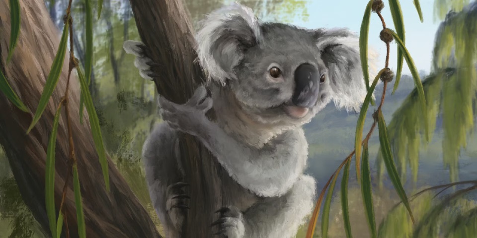A dimpled koala fossil found in a cave in Western Australia revealed ...