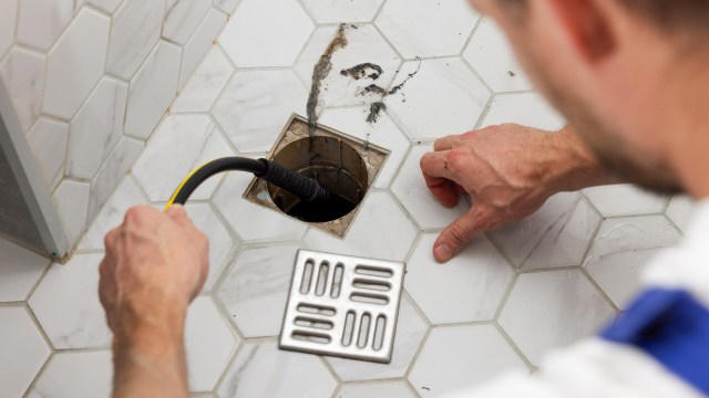 House cleaner stunned after snake appears in basement shower drain