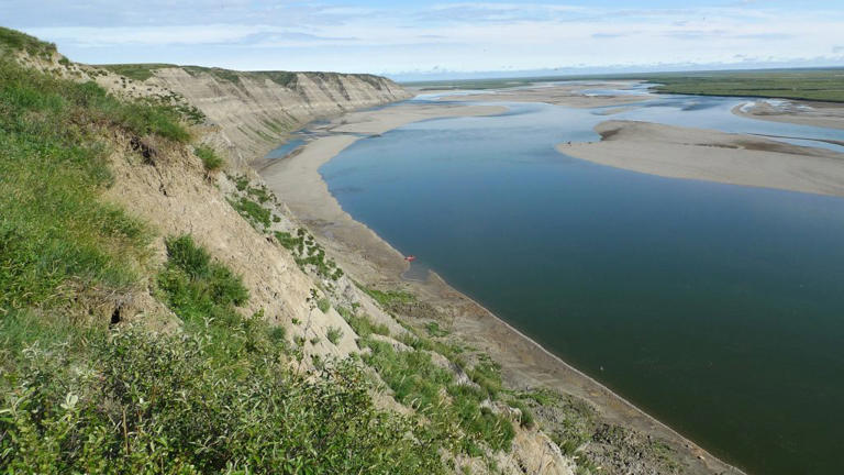 New species of ancient Arctic mammals discovered in Alaska