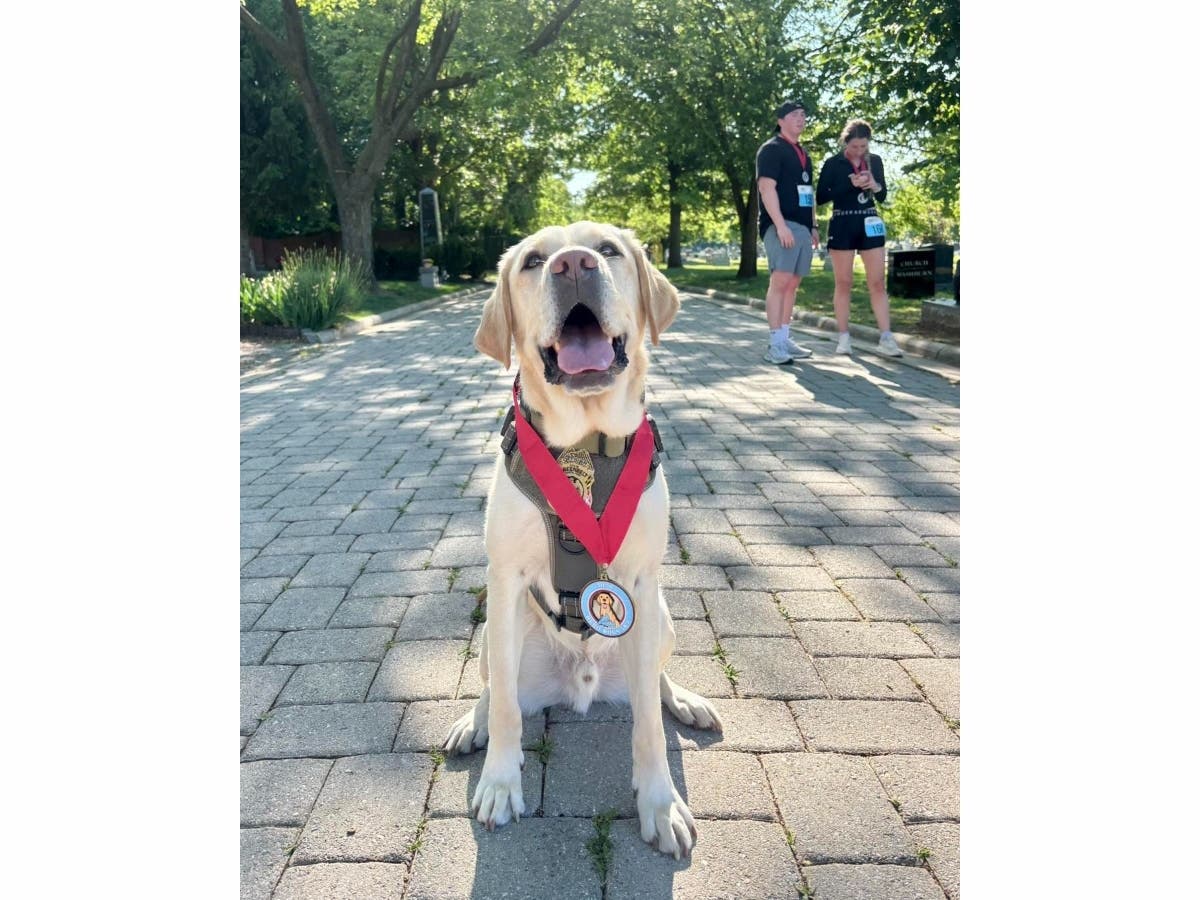 K9 Ollie sprints through 2026 Hero Dogs 5K9