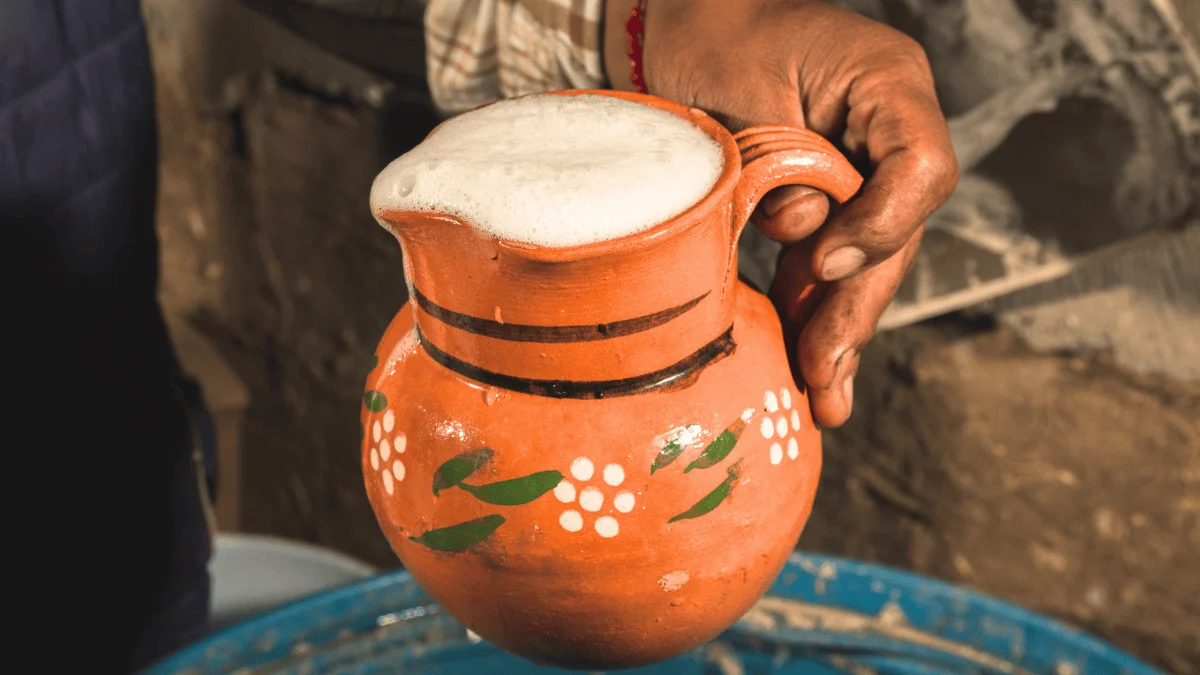 De tequila a mezcal: 9 bebidas alcohólicas mexicanas que amarás conocer