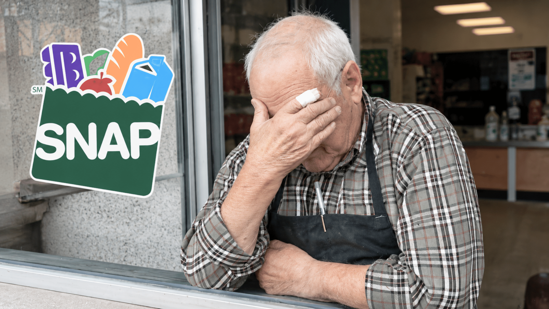 4.3 million lost food stamps, yet experts say fraud wasn't the reason