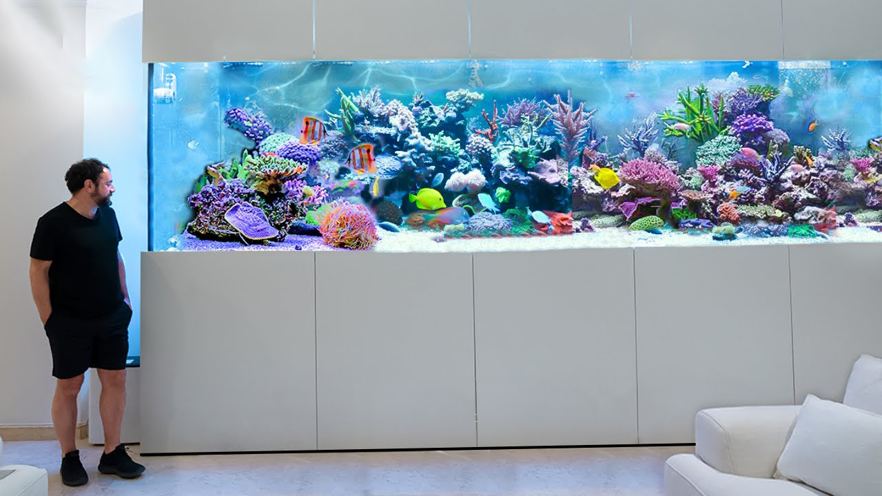 Most beautiful private reef tank! 5000 liters