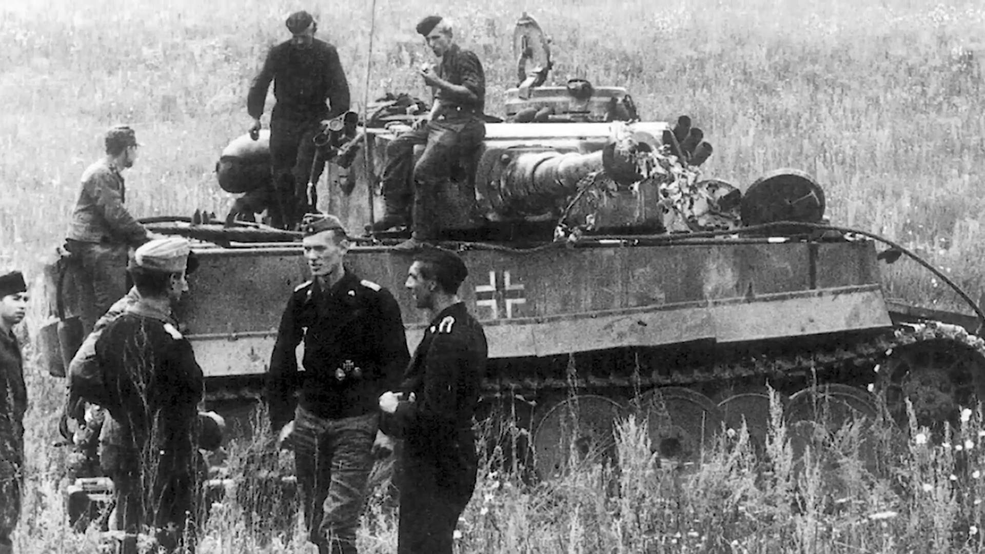 Inside Hitler’s SS tank units: Tiger aces and the battles that made ...