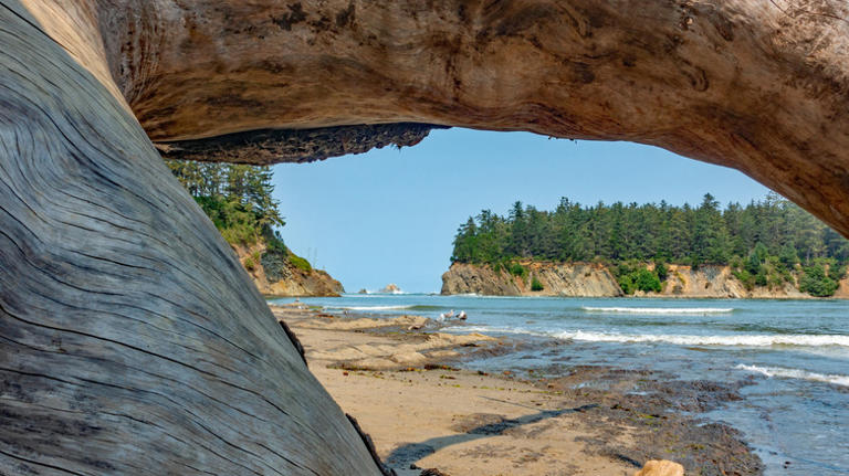 Oregon's 5 best coastal camping spots with easy beach access