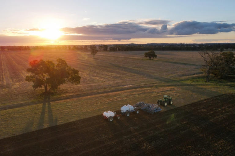 Australia's farmers, hit by Iran war costs and dry weather, grow less wheat
