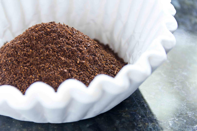 Do coffee grounds actually repel ants? Here’s what pest experts say