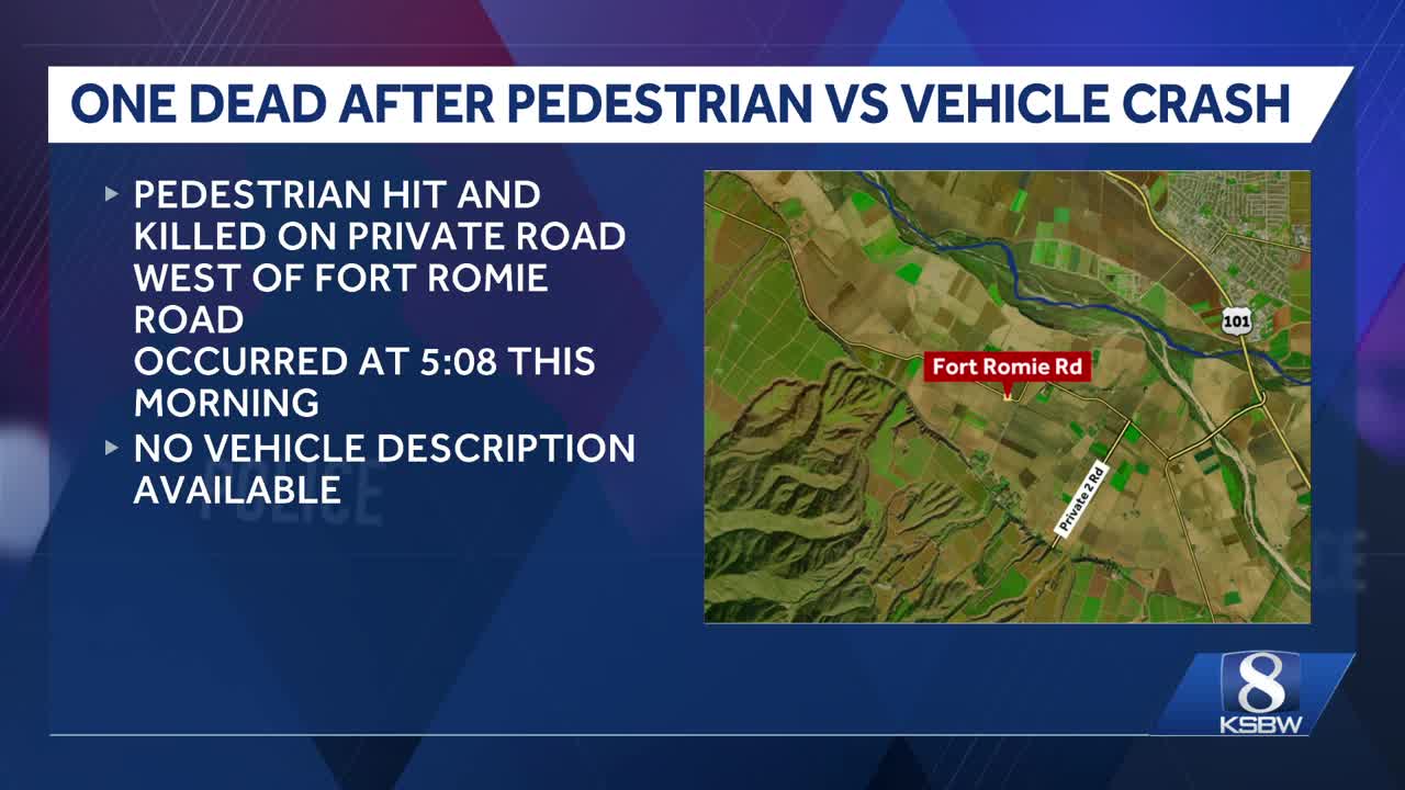 Pedestrian killed in hit-and-run crash on private road in South ...