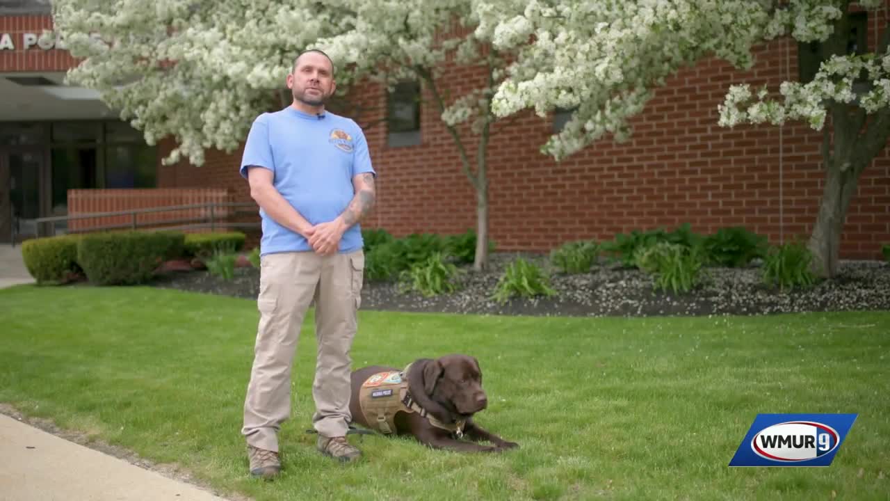 Heroes among us: K-9 Ozzy and his handler Brian Pinsonneault