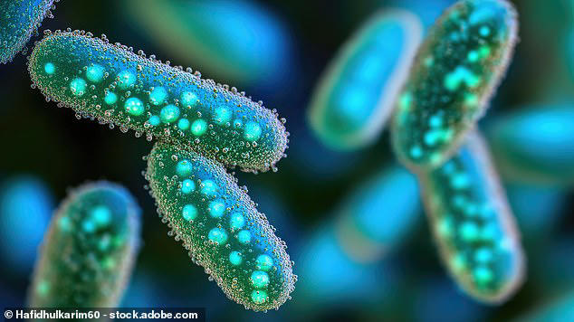 Turbocharging immune system could mean end of antibiotics