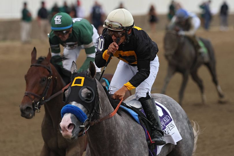 Preakness-winning jockey Paco Lopez faces accusations of whip rule ...