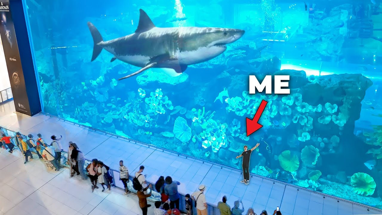 Shark attack: Tube through an aquarium: Atlantis The Palm in Dubai