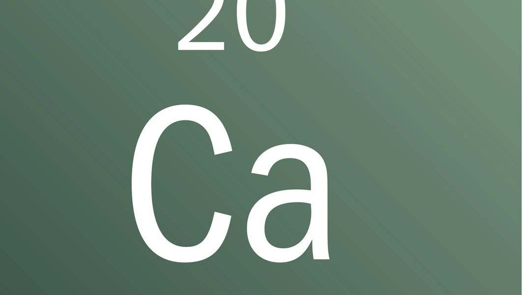 Experts stress calcium-vitamin D pairing for stronger bones