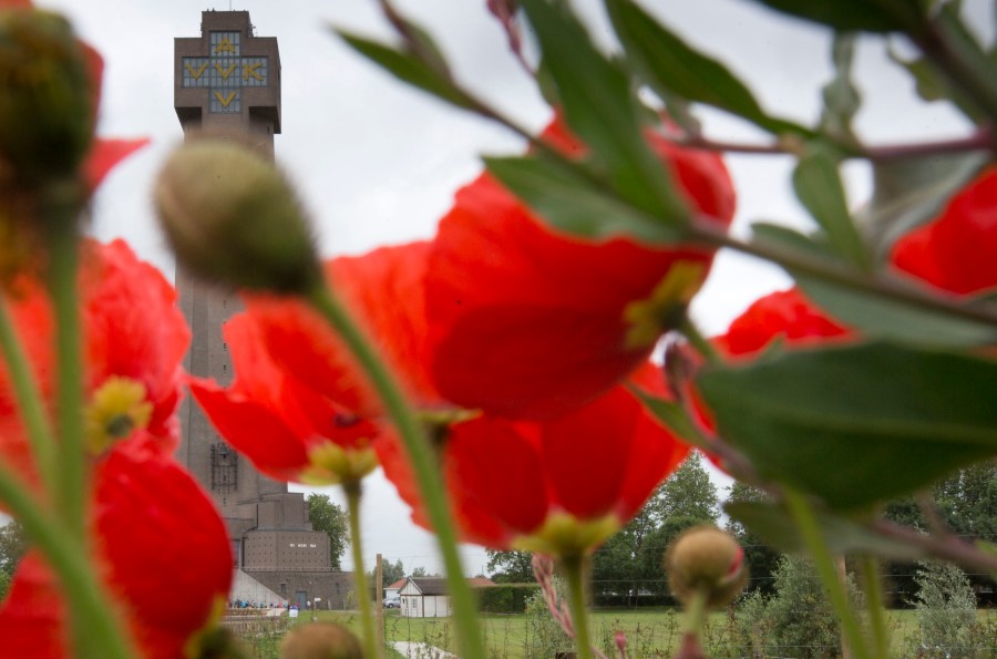 Moline will honor veterans with National Poppy Day