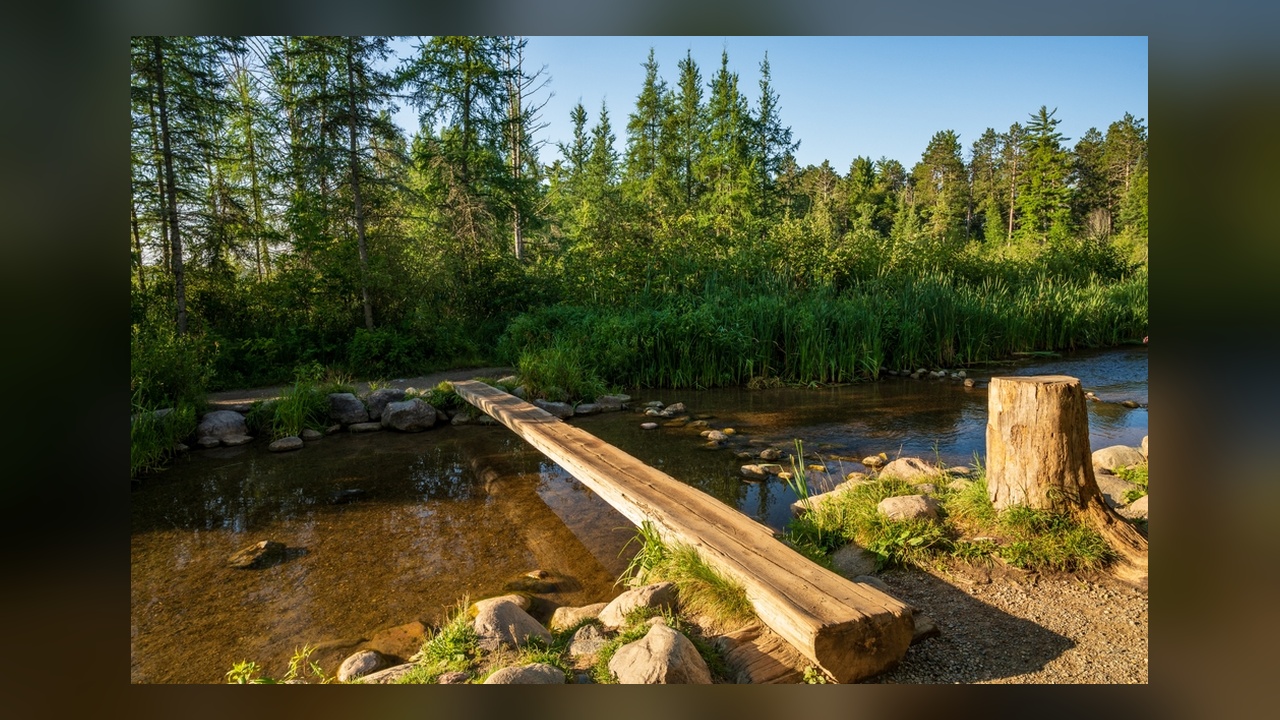 You can wade across the Mississippi River in northern Minnesota, where ...
