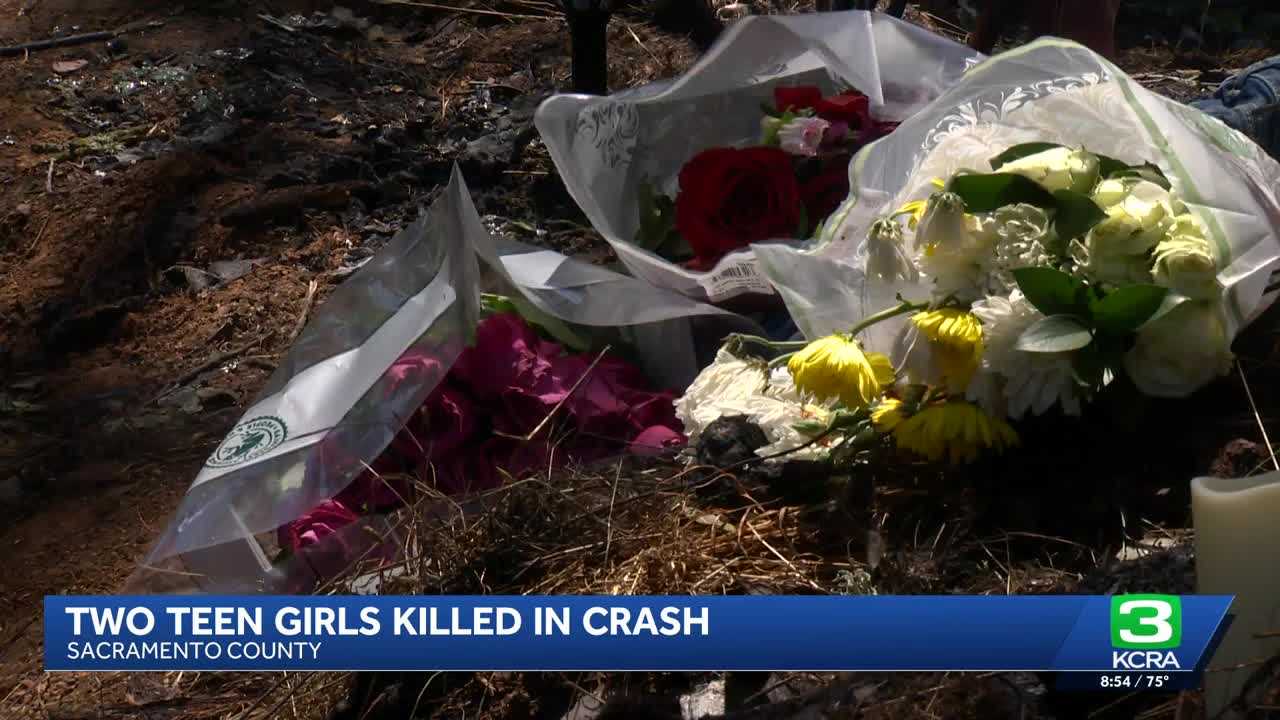 2 teenagers die, 3 others hurt after car crashes into tree in ...