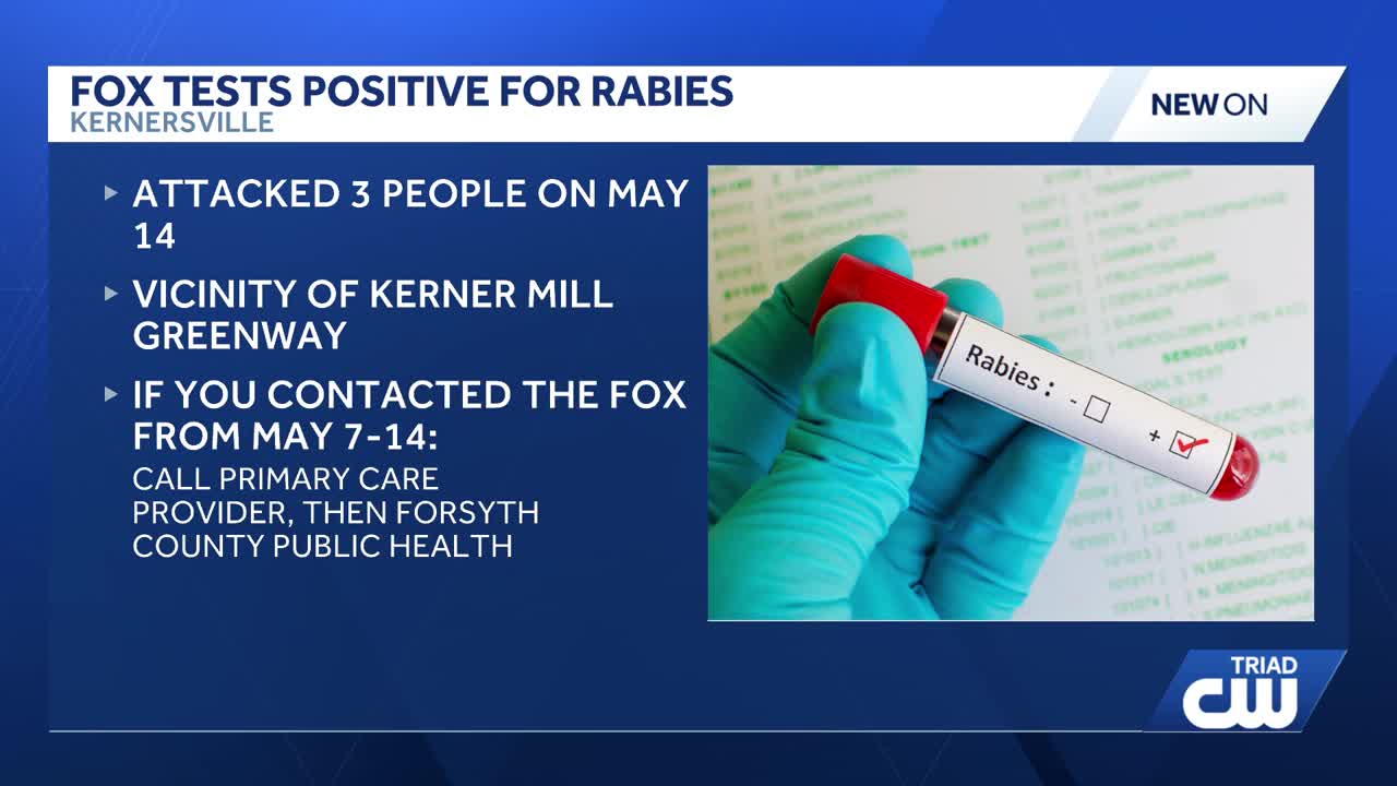 Rabid fox attacks three people in Kernersville, Forsyth County health ...