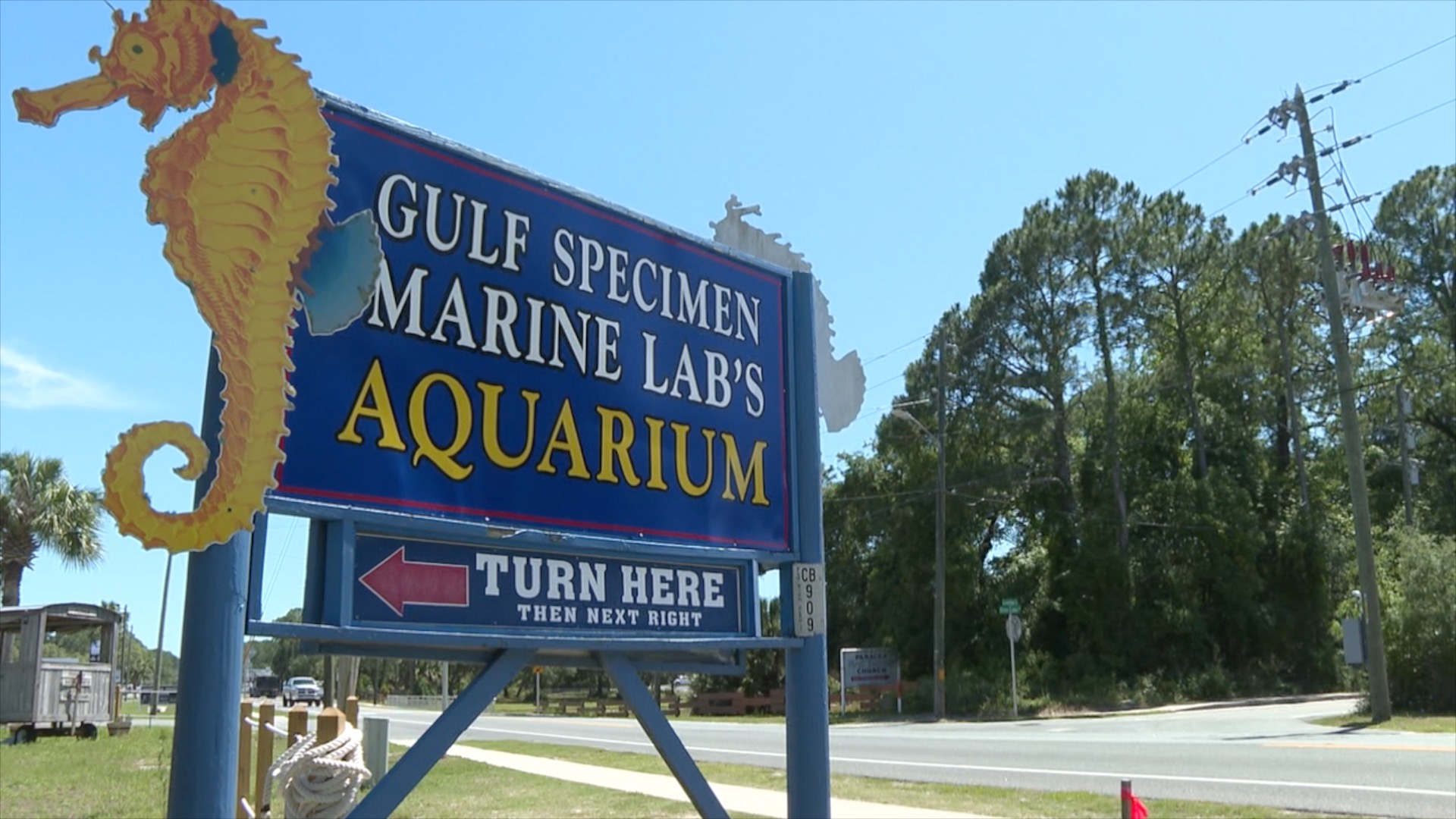 Wakulla County votes to change sign ordinance, helping Gulf Specimen ...
