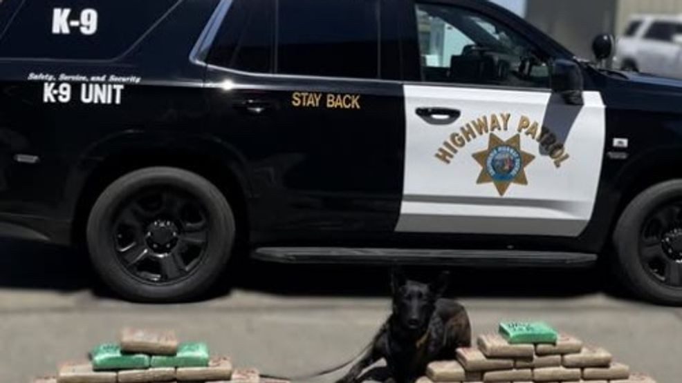 K9 officer seizes about 30 kilos of cocaine during I-5 traffic stop ...