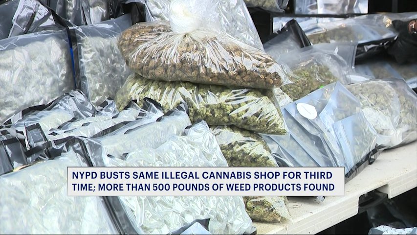 Third times a crime: Illegal Mott Haven cannabis shop raided again