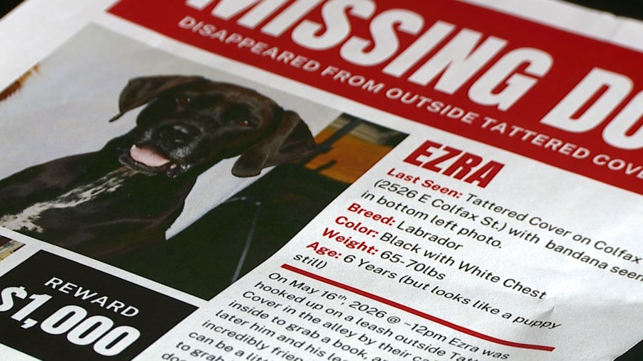 Denver woman’s dog stolen outside of Tattered Cover Bookstore