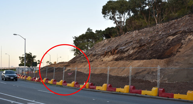 Warning as pest threatens to hop state border after entire Aussie city ...