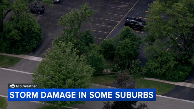 Chicago weather: Line of severe storms moves through area