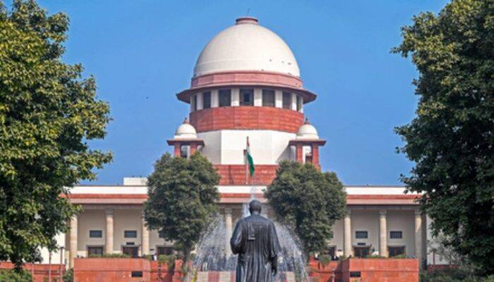 'Dog bite menace rising': SC refuses to recall order on shifting stray ...