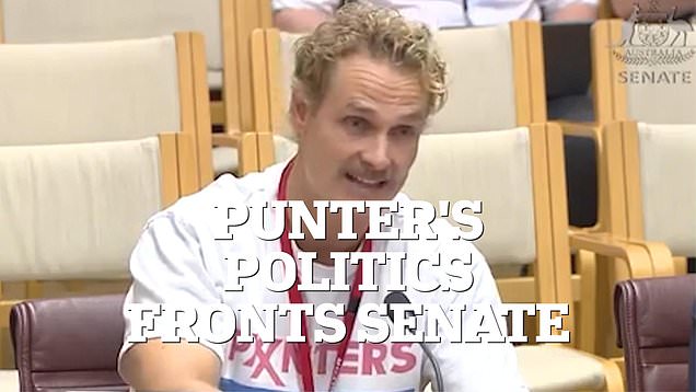 Konrad Benjamin fronts Senate inquiry into gas export tax