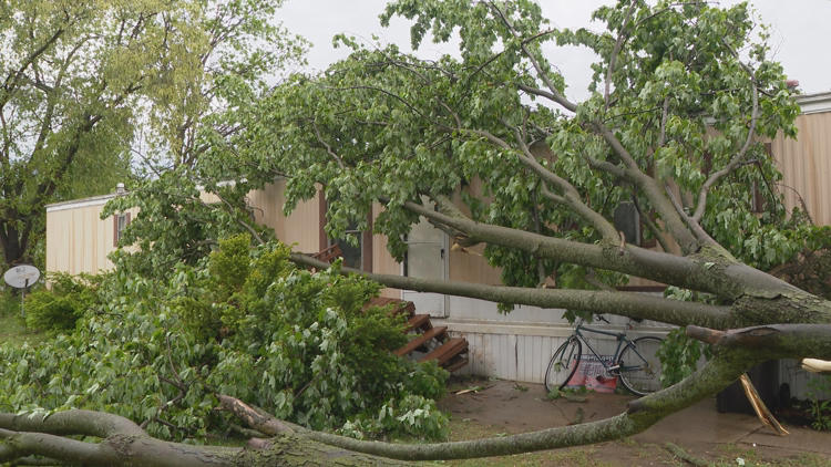 Powerlines hit and homes damaged by falling trees in latest round of ...
