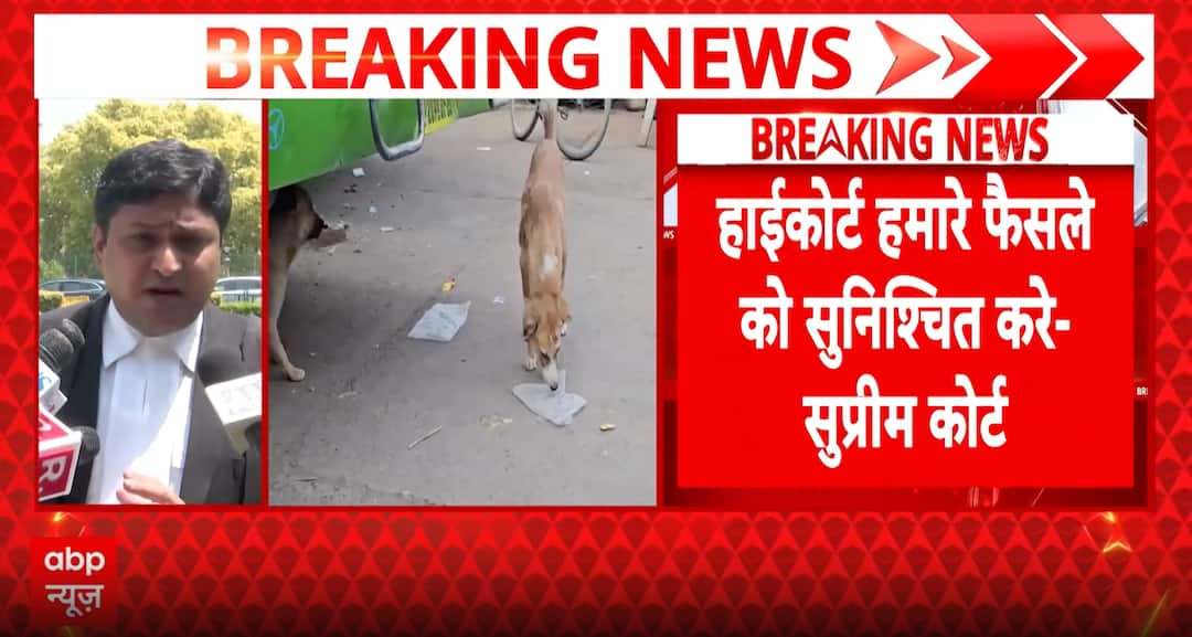 Civic watch: Supreme Court shields officials enforcing stray dog ...