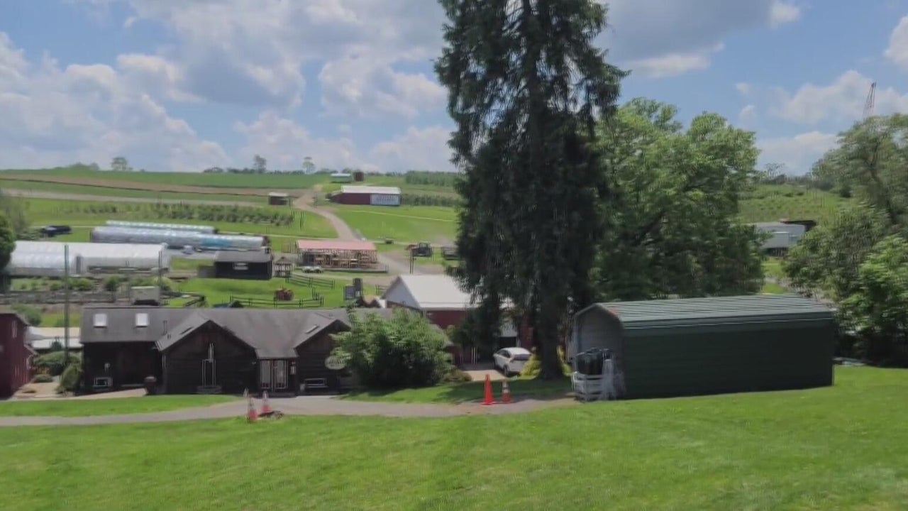 Popular Pennsylvania farm cancels strawberry festival, citing early ...