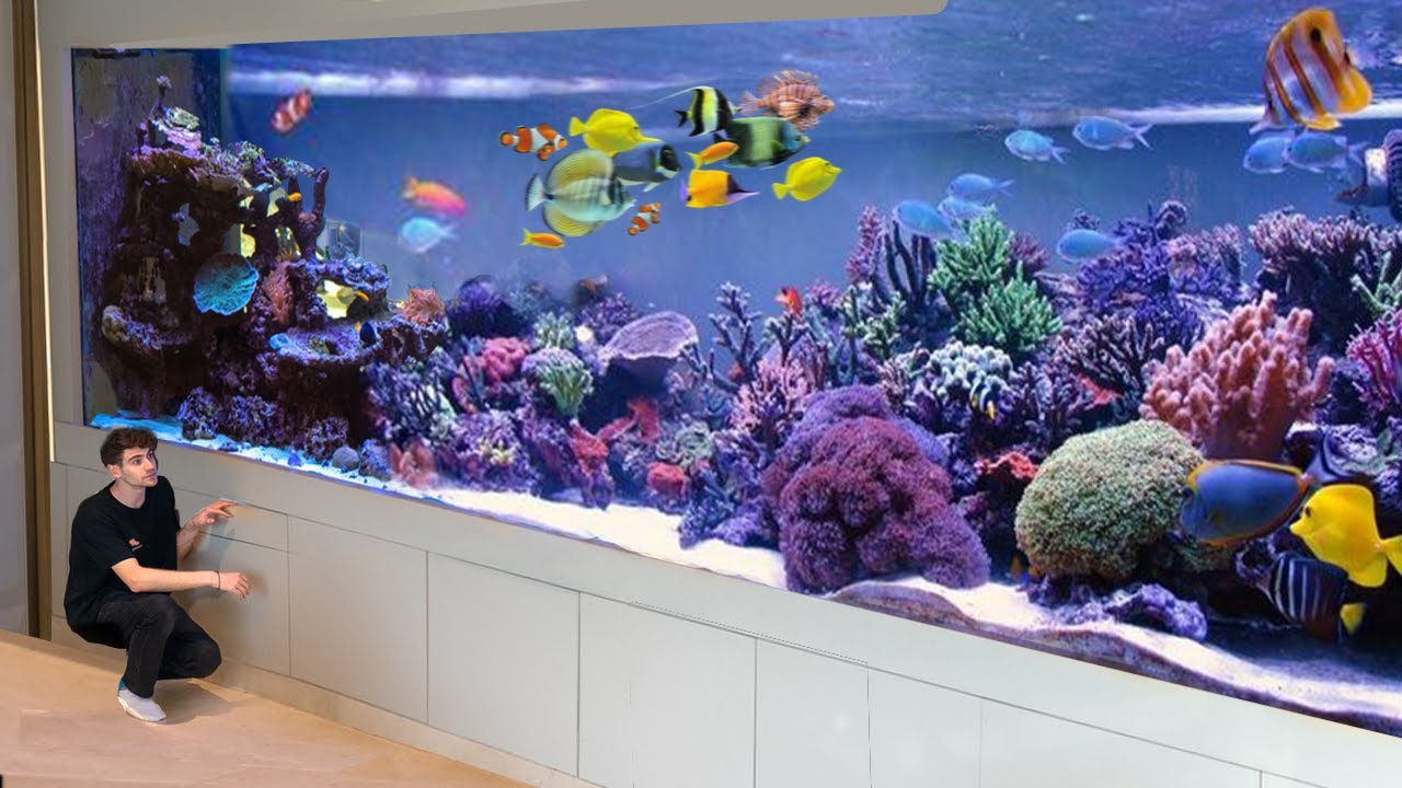 $1,000,499,000 home aquarium tour! - Inside Dubai's billionaire Palm ...