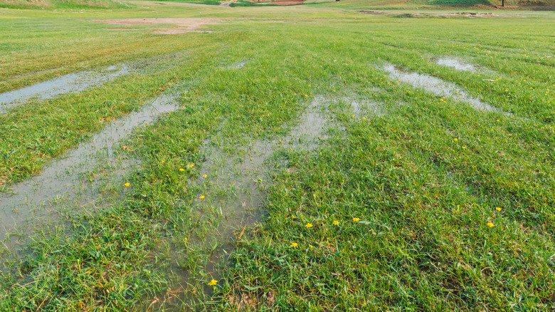 Top reasons why your garage may be prone to water leaks (& what to do ...