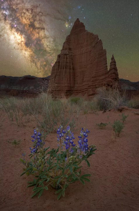 Rocks, rare gems, and rubber chickens: Fun facts about Utah even locals ...