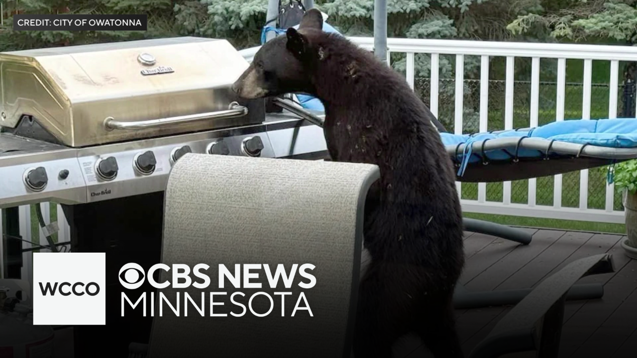 Southern Minnesota residents report black bear sightings