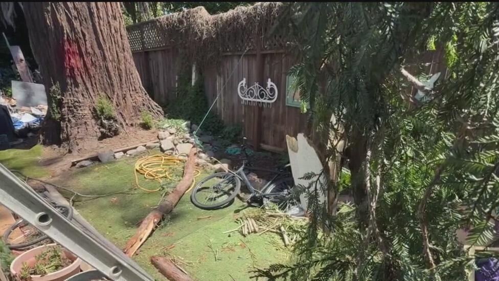 Santa Rosa man killed by falling tree branch during gusty conditions