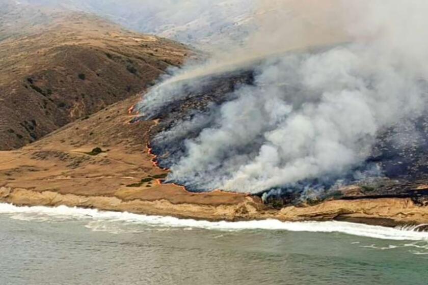 Largest fire ever recorded on Santa Rosa Island endangers 'gem of ...