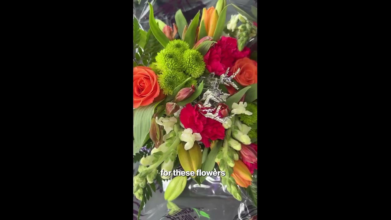 Knicks fans send flowers to viral Philly reporter