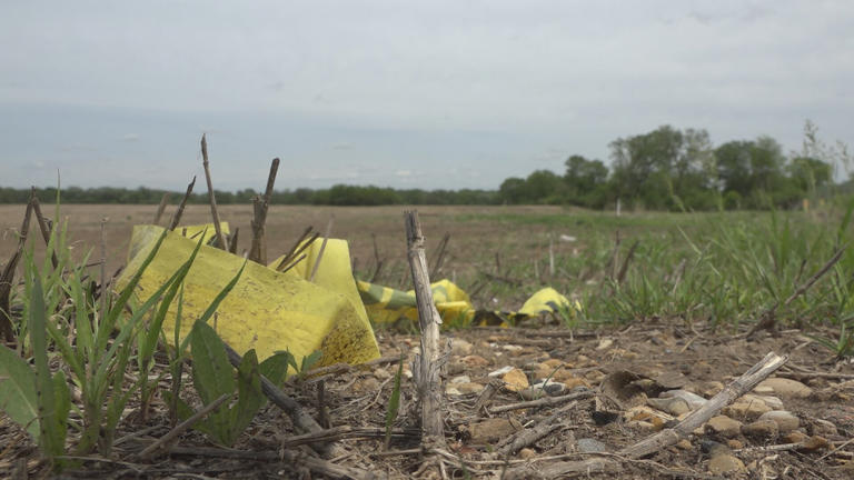 Project leaders outline plans for building near Rockford airport