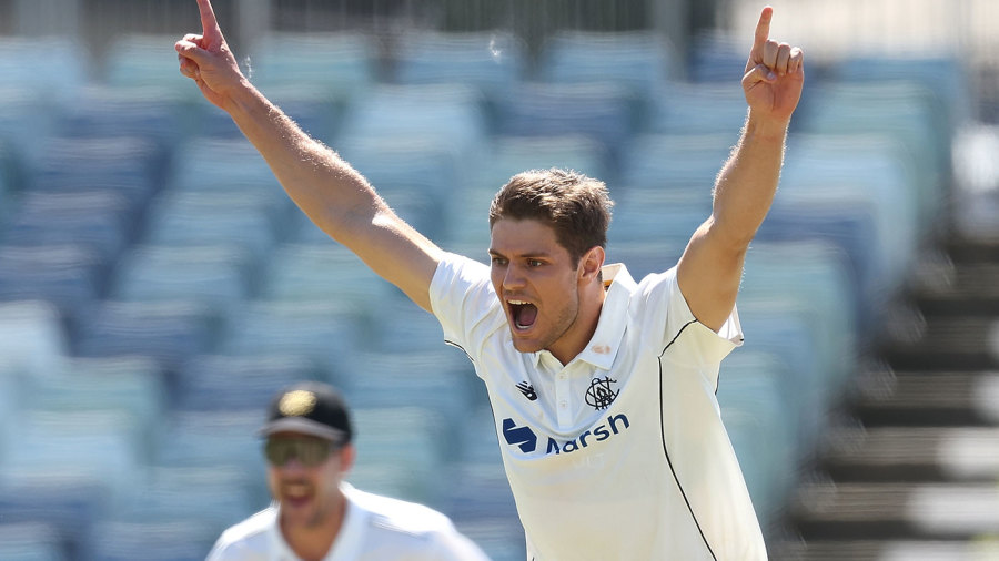 Aaron Hardie named new Western Australia Sheffield Shield captain