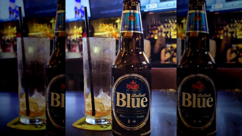 17 popular Canadian beer brands, ranked