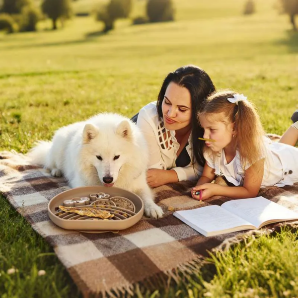 Custom dog toy manufacturer: Why brands are choosing personalized pet toys