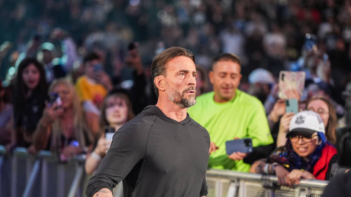 CM Punk shows off impressive physique while training during WWE hiatus