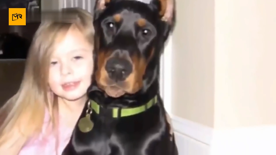 Hero dog saves little girl from danger in the most incredible way