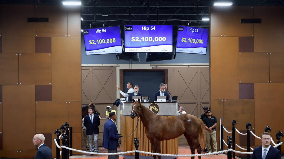 Racetrack roundup: $2.1-million Flightline colt set for first work at ...