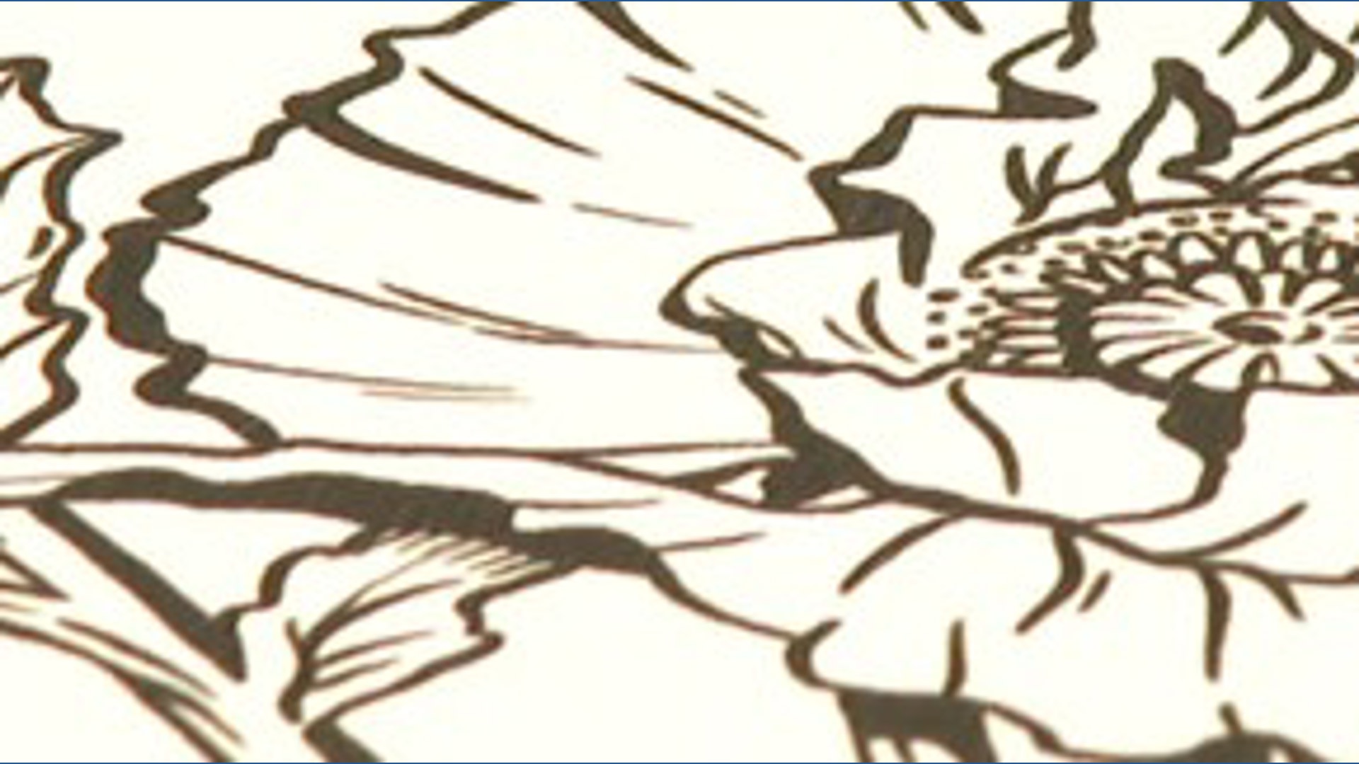 VA hosts 'paint a poppy' event