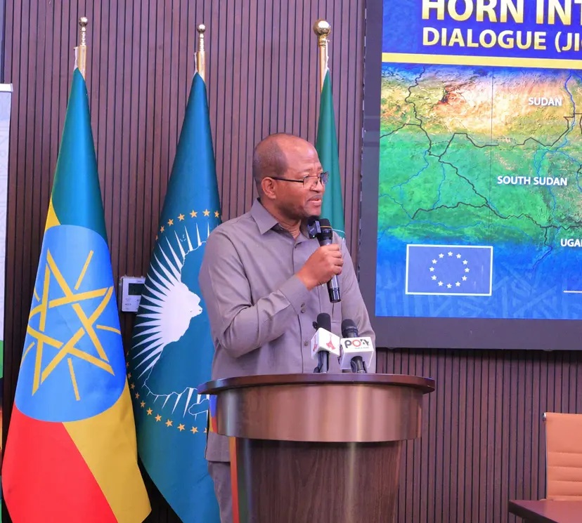 Ethiopia calls for Horn nations to take greater ownership of regional ...