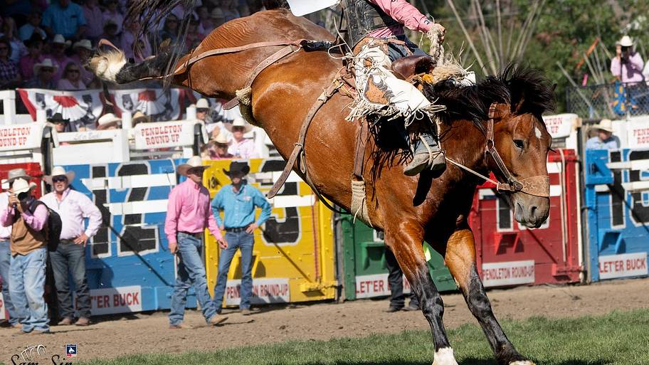 Saddle bronc rider Sage Newman bests Rusty Wright for big win in Miles City